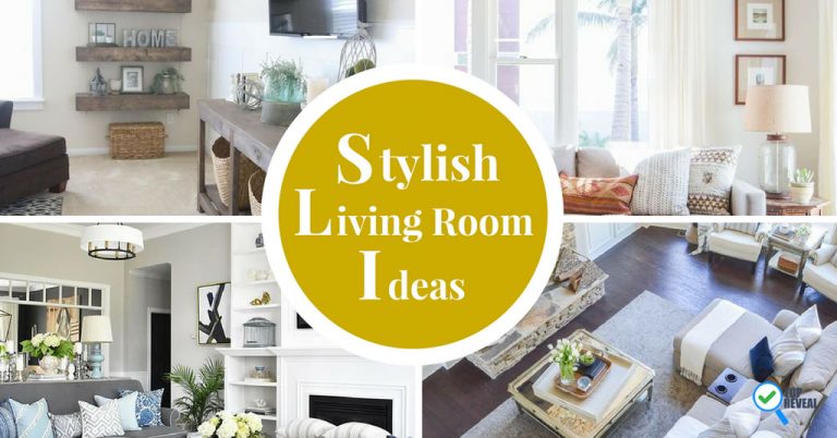 21 Stylish Living Room Ideas and Themes Anyone Can Do – Top Reveal