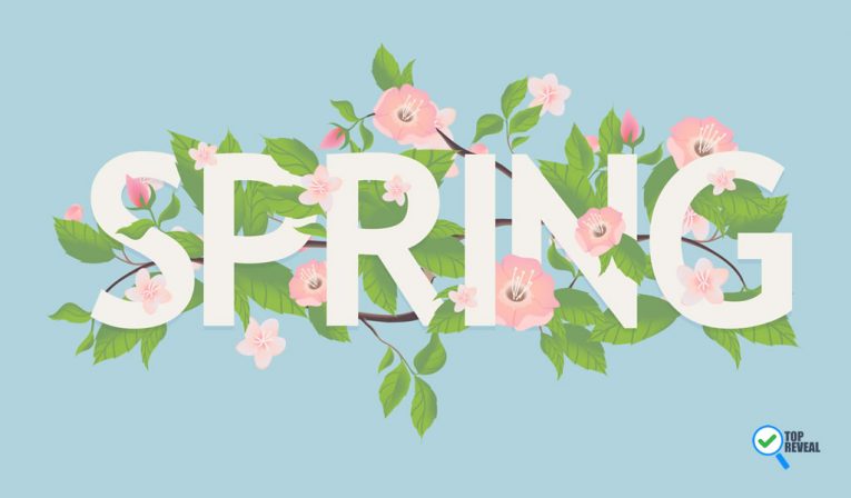 Inspiring Spring DIY Decor Ideas (Infographic) that are Spring-Tastic ...