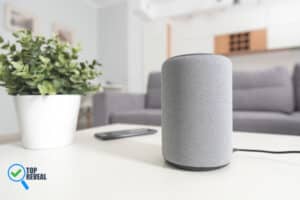 The Ultimate Alexa Skills Cheat Sheet: All The Commands You Need To ...